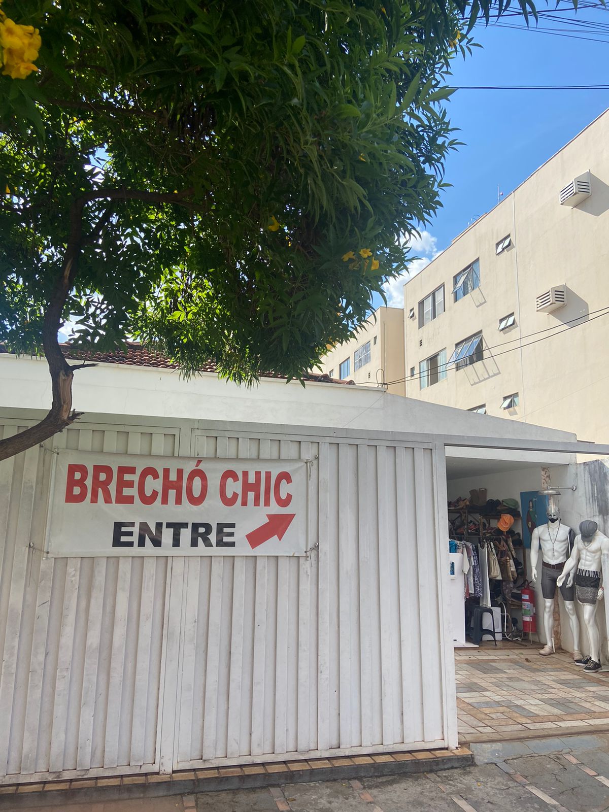 Brechó Chic é muito mais que original em São José do Rio Preto - Solutudo